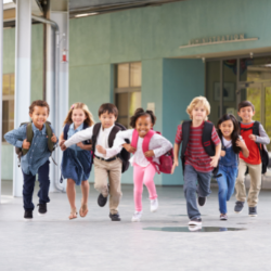 Al Potvin Family Foundation – Helping kids in Mississippi Mills through ...
